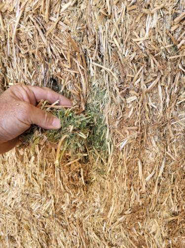 Categories | Farmclearingsales.com.au