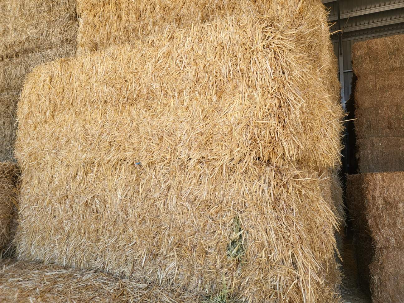 Private Sales | Farmclearingsales.com.au