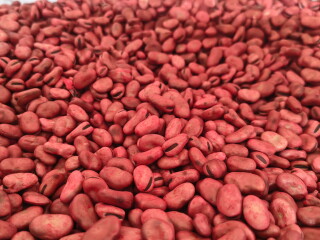 Categories | Farmclearingsales.com.au