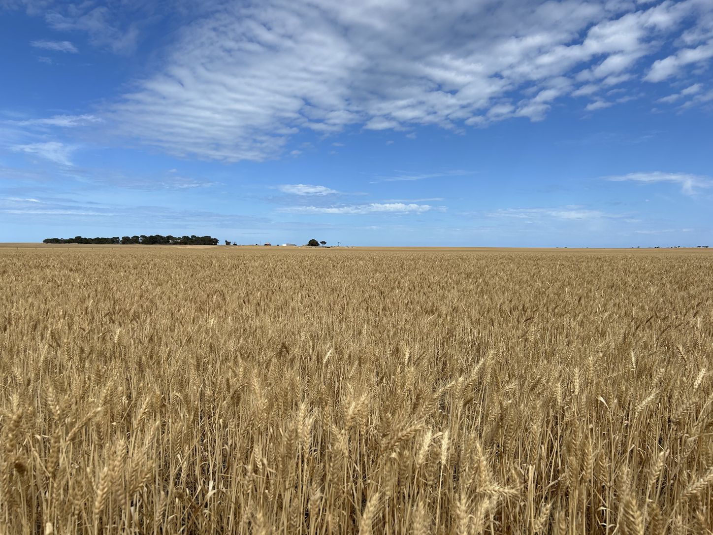 Private Sales | Farmclearingsales.com.au