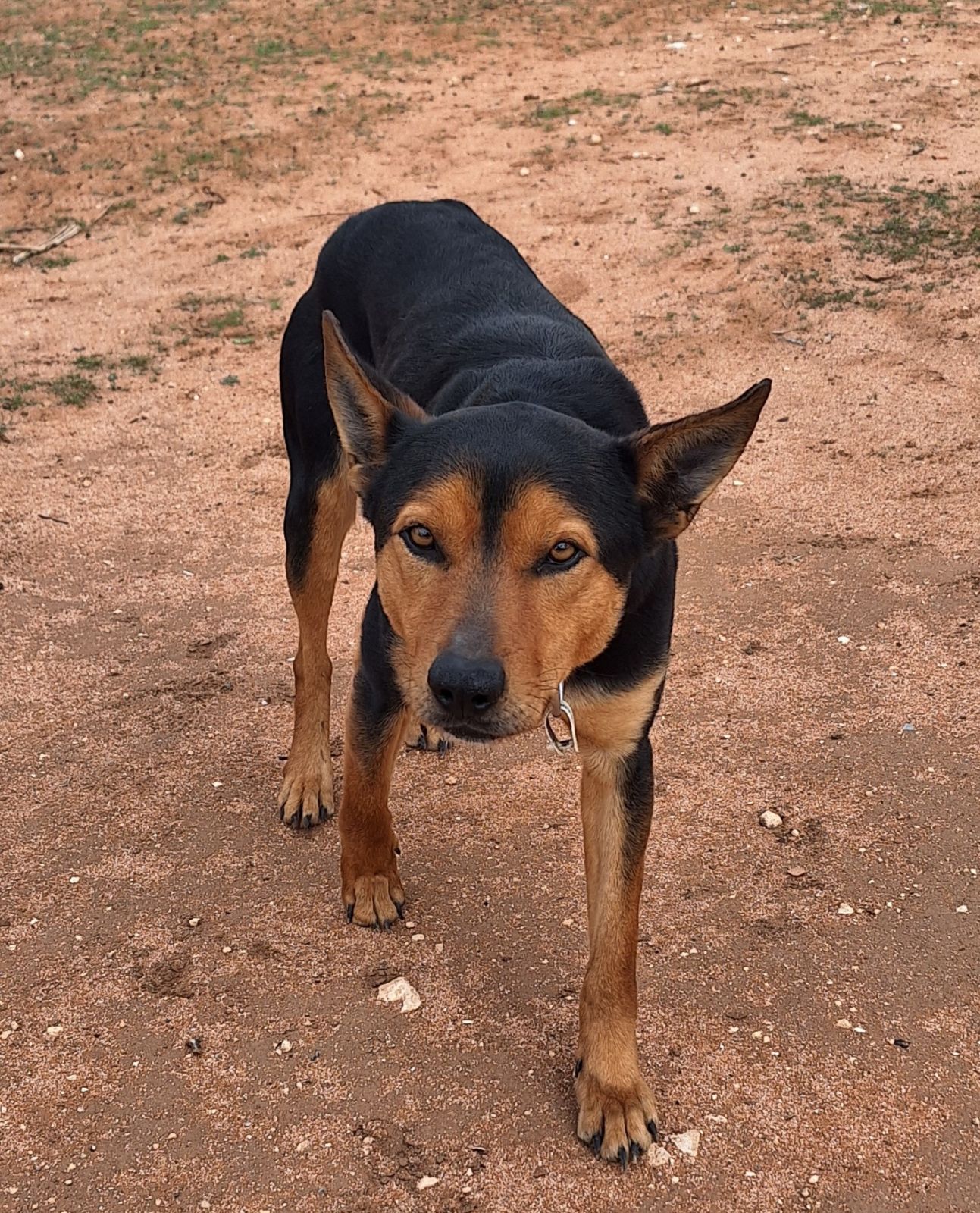 Categories | Farmclearingsales.com.au