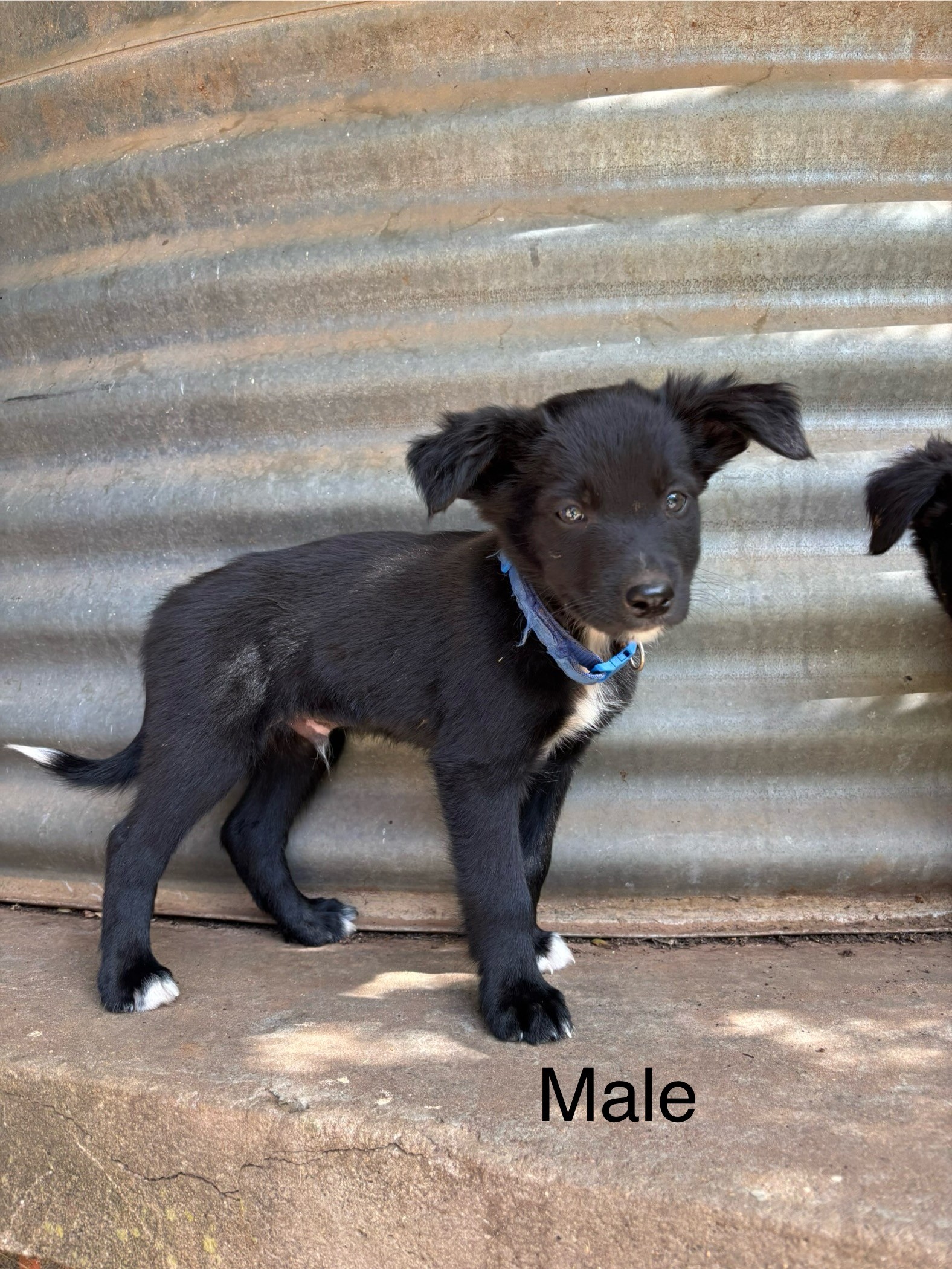 Private Sales | Farmclearingsales.com.au